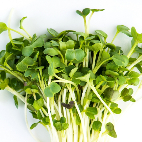 Daikon Radish Sprouts - 100 g (Mumms Organic) - Delicious Emergency ...